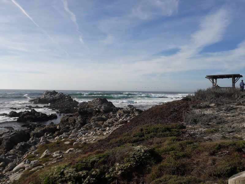Central Coast white sand stretch where dunes, tide pools, and ...