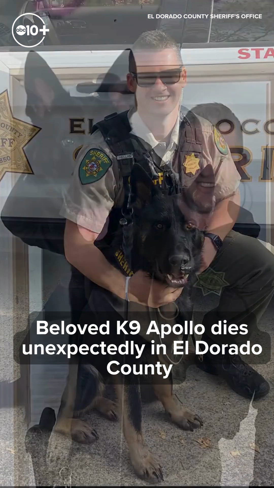 K9 Apollo dies after medical emergency in El Dorado County