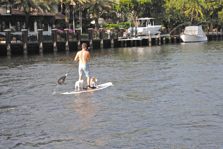 Where people are quietly moving to in Florida—and where they’re leaving ...