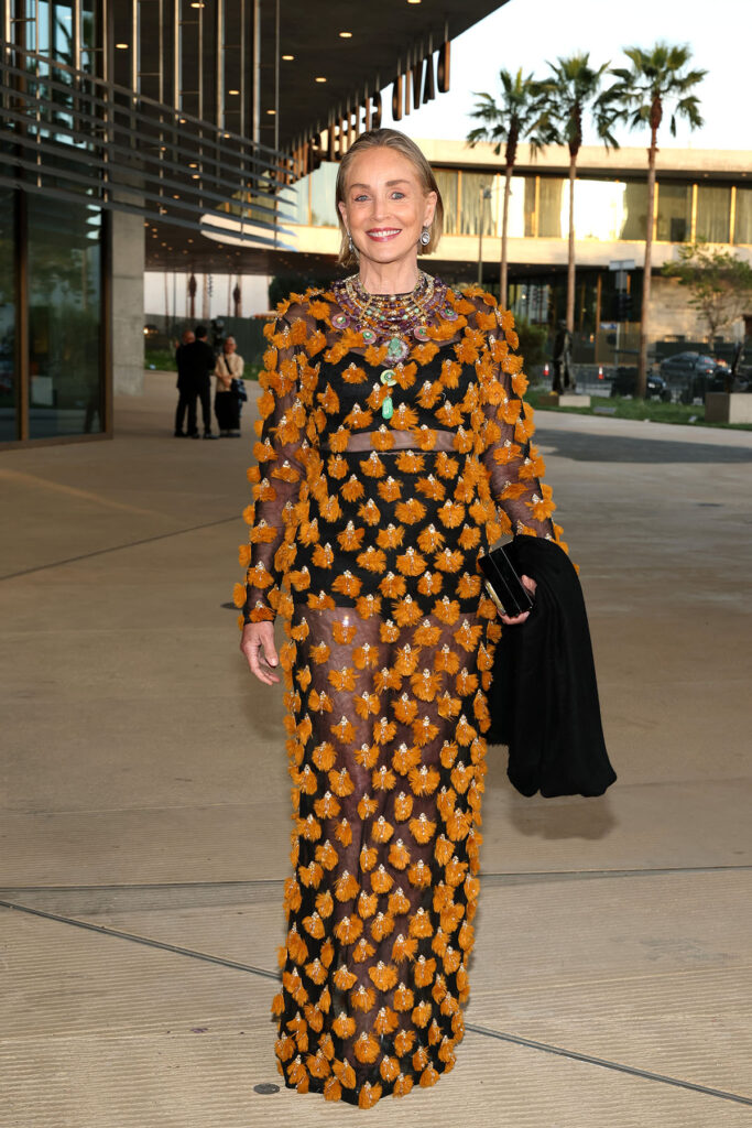Celebrities at the LACMA’s David Geffen Galleries opening gala