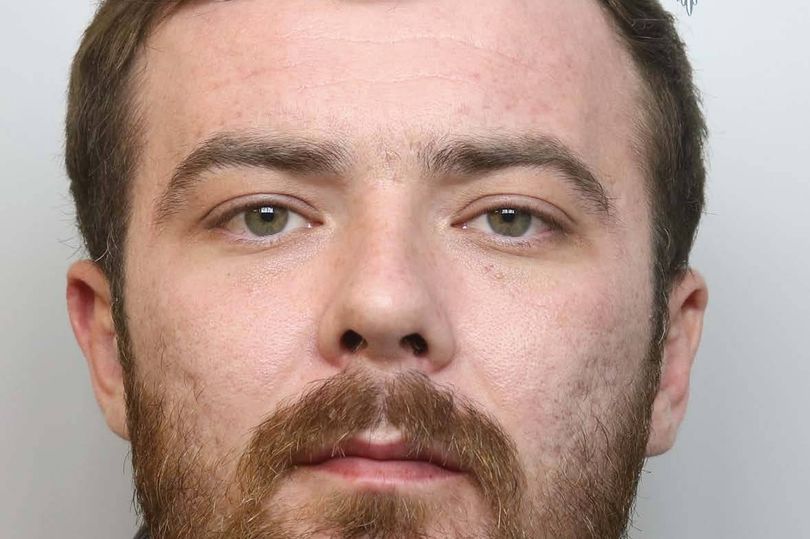 XL Bully owner jailed after hungry beast ate pensioner alive in horror ...