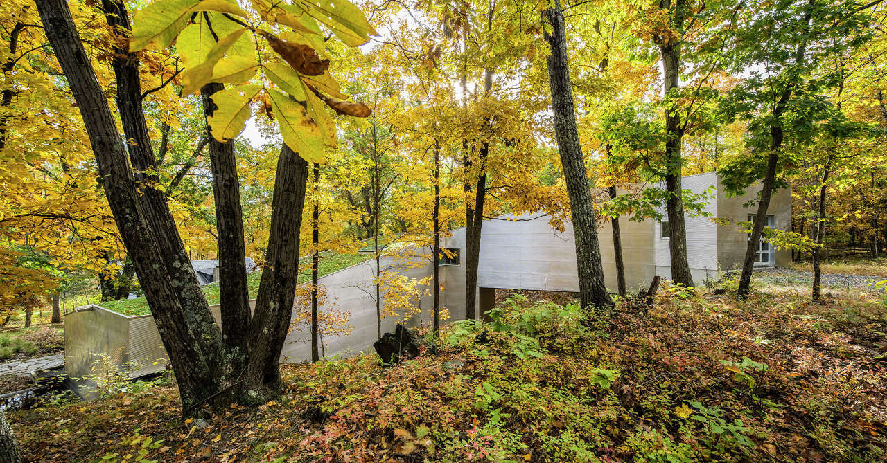 In Rhinebeck's woods, 'T' Space blends art, architecture and nature