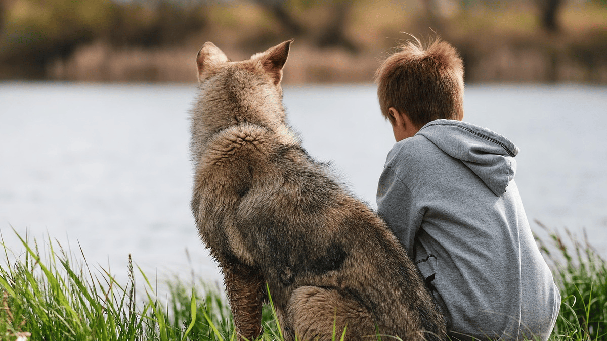 Science has finally revealed how long dogs remember their owners