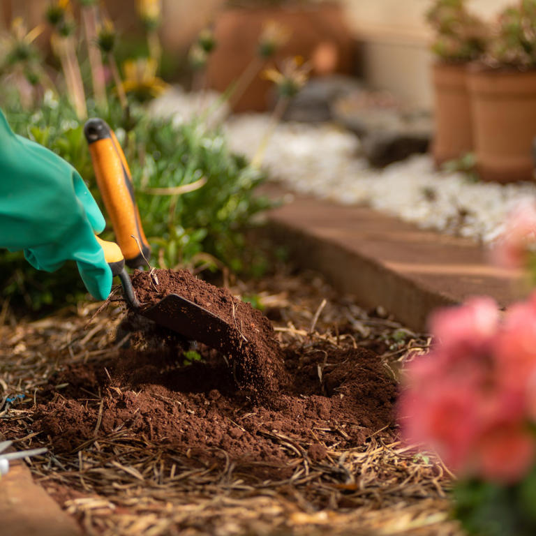 I protected my new build garden from waterlogging with this smart soil ...
