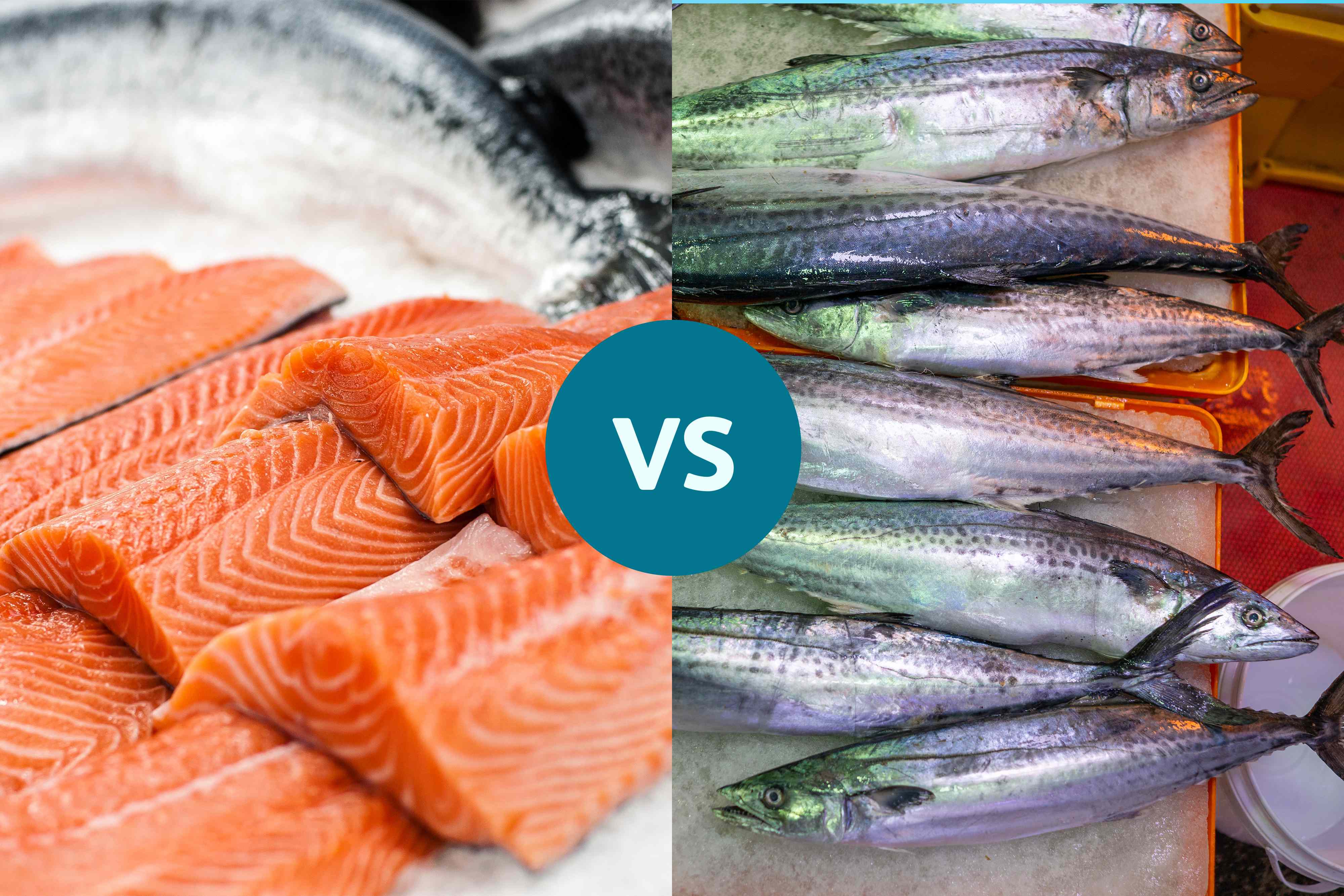 Salmon vs. mackerel: Which is better for omega-3s and other nutrients?