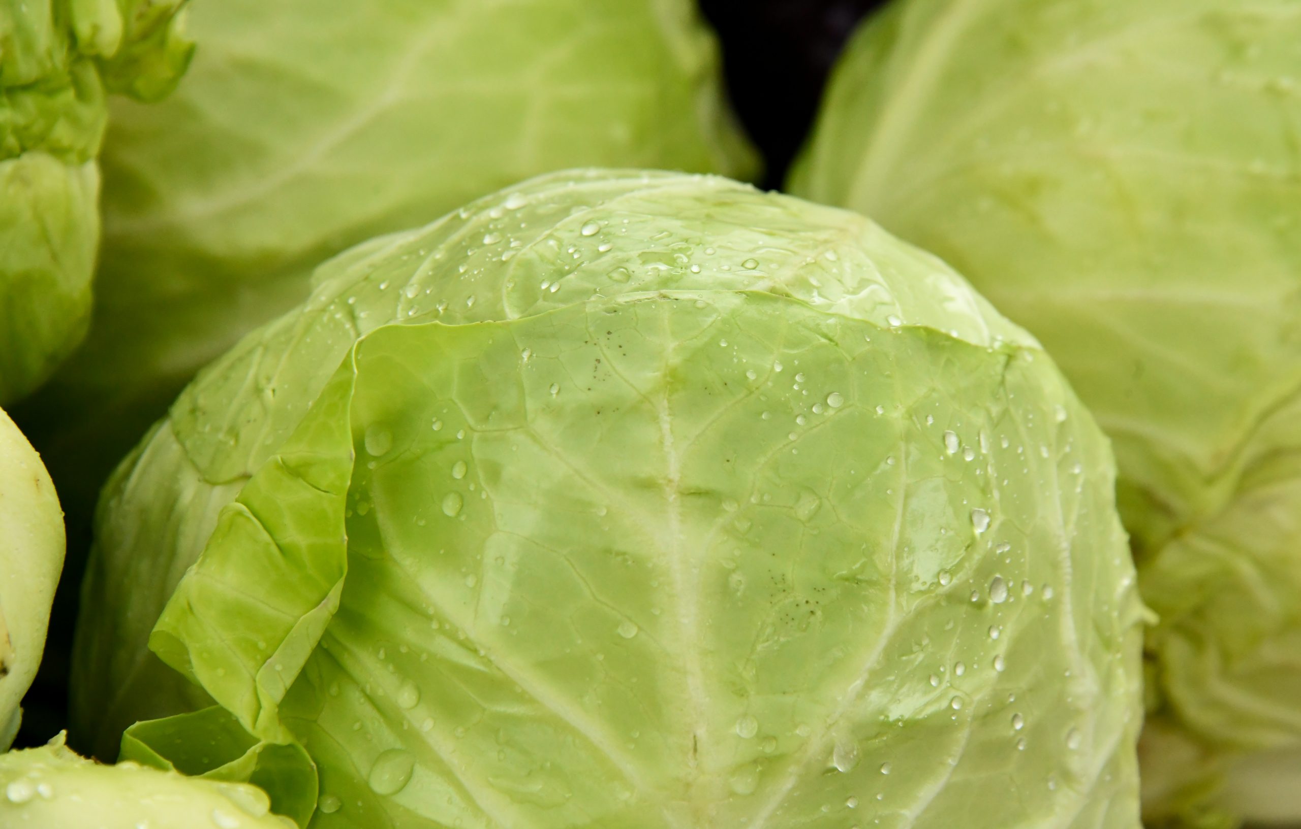 15 reasons cabbage is the ultimate budget food