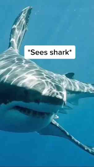 Me swimming in the ocean 🌊😳💀 suddenly feeling like something is ...