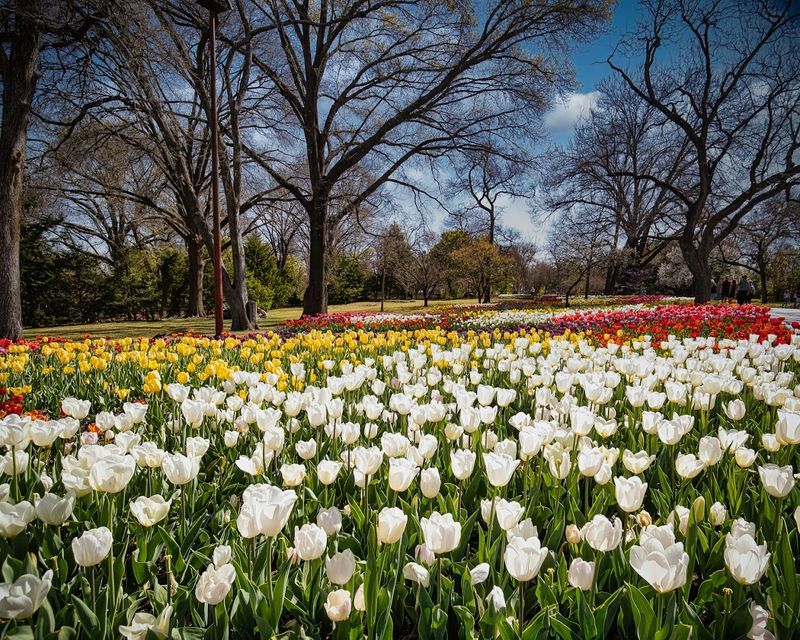 A Texas arboretum where seasonal displays turn every visit into ...