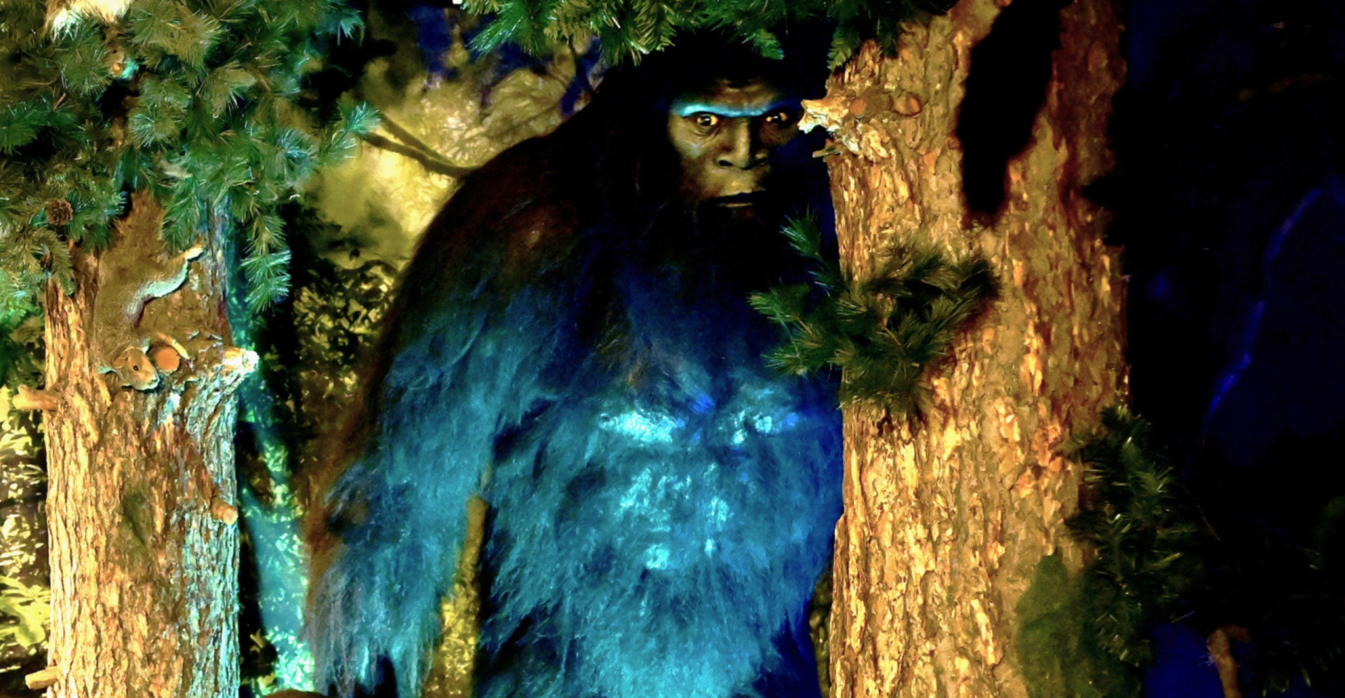 From folklore to the FBI: The strange history of Bigfoot