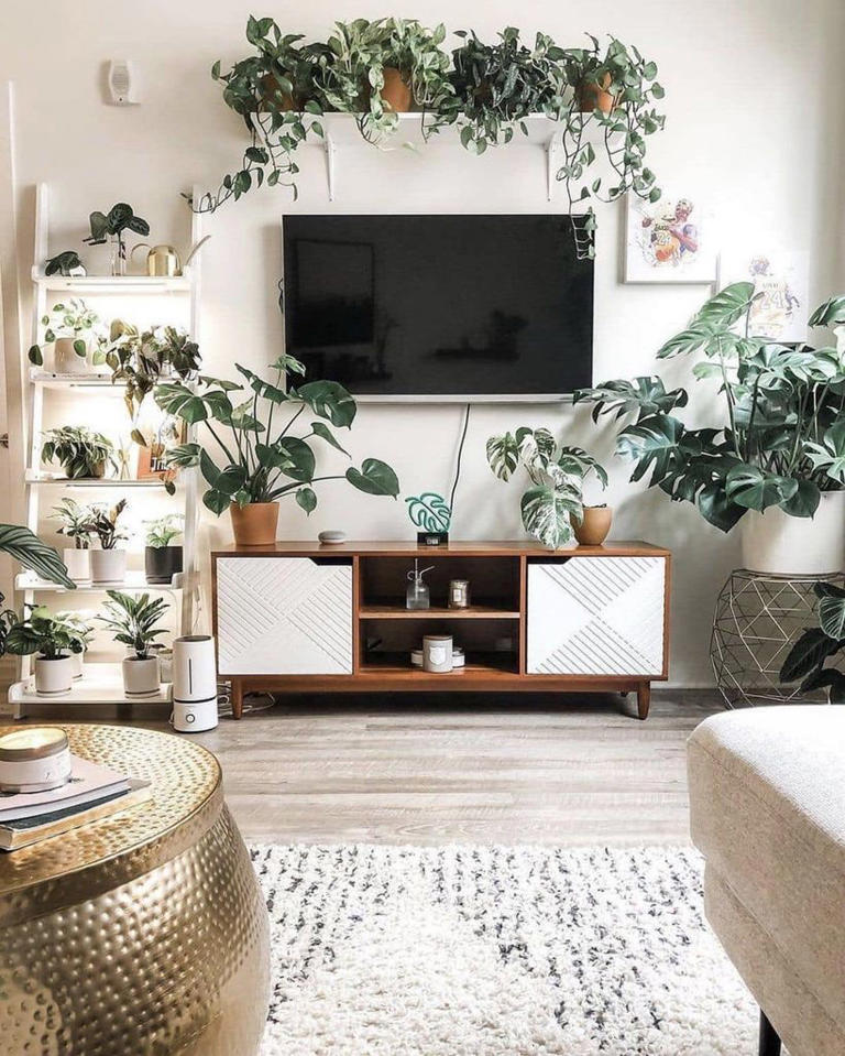 Plantas de interior: cómo distribuirlas en casa para un efecto más ...
