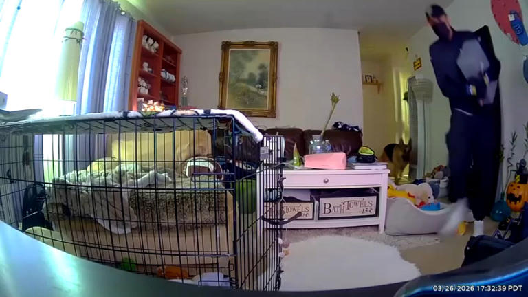 Thieves accused of stealing $140K during break-in at Monrovia ...