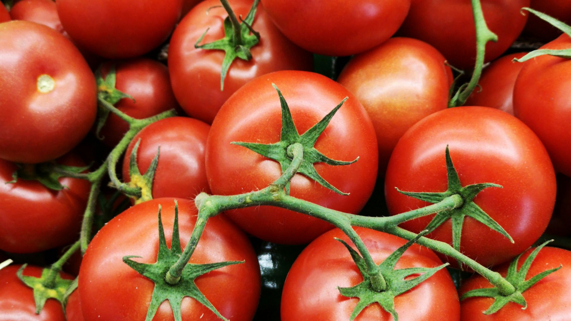 Tomatoes for heart: 20 natural foods that boost a specific organ