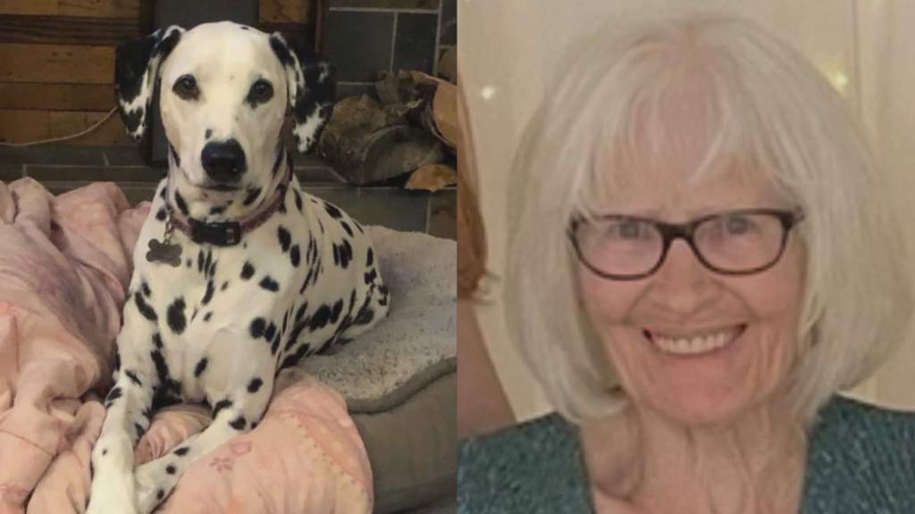 Search underway for Alberta woman, 82, lost in Saskatchewan with her dog
