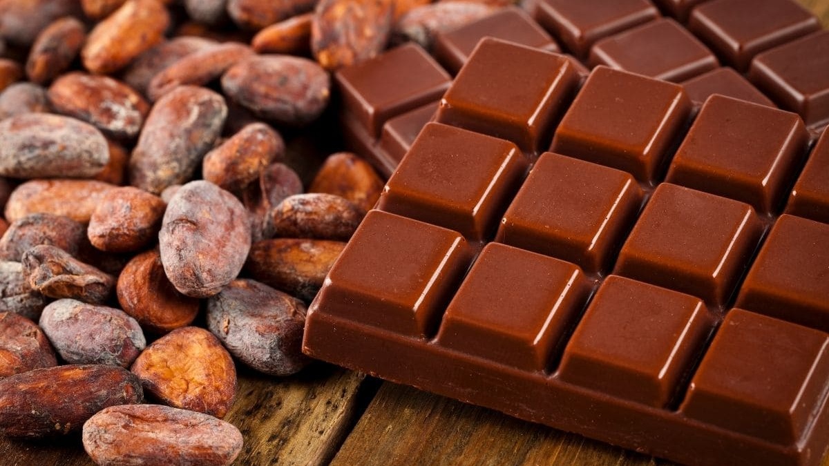 9 foods you should never give your cat because they are poisonous (and ...