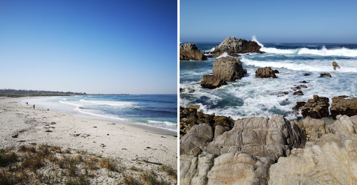 Central Coast white sand stretch where dunes, tide pools, and ...