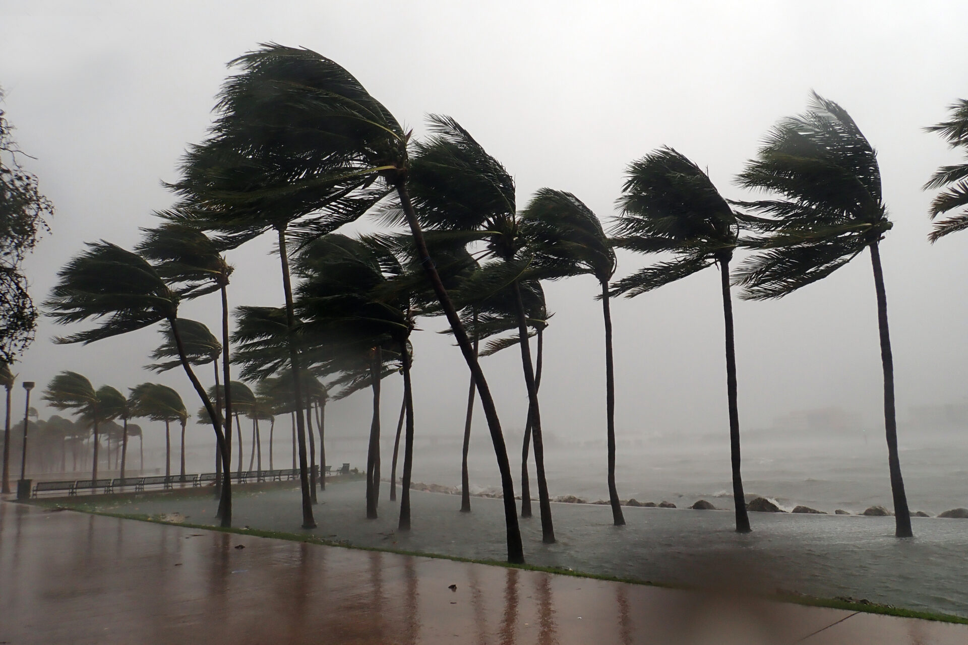 El Súper Niño: temperaturas récord y fenómenos meteorológicos extremos ...