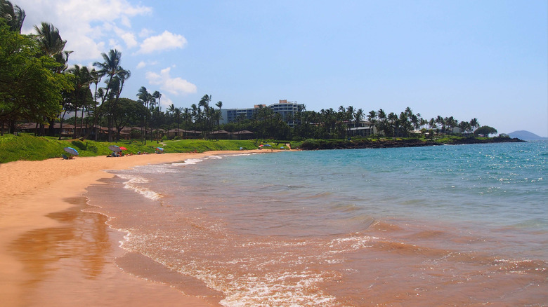 This breathtaking beach in Maui is a beginner-friendly snorkeling spot ...