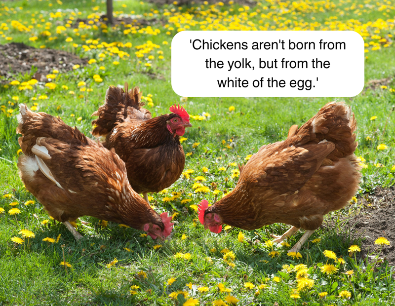 23 random facts worthy of saving any awkward silence during conversation