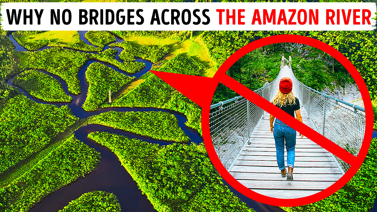 Why bridges over the Amazon River remain a dream