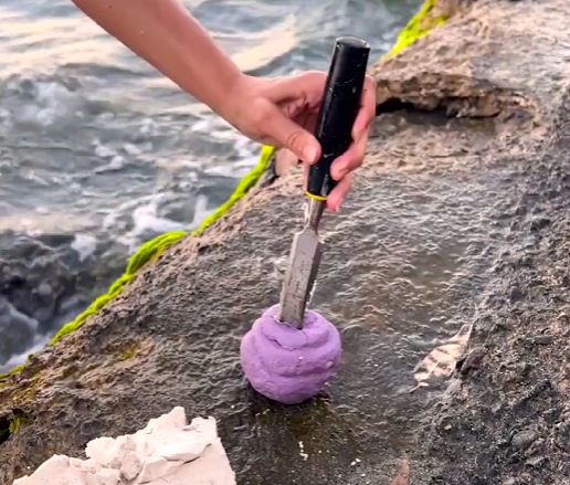 Discovering the ocean's hidden gems