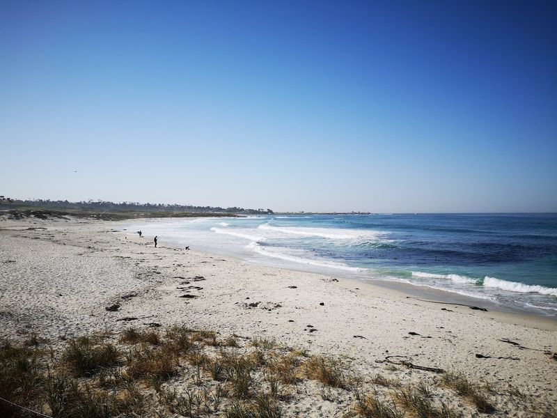 Central Coast white sand stretch where dunes, tide pools, and ...