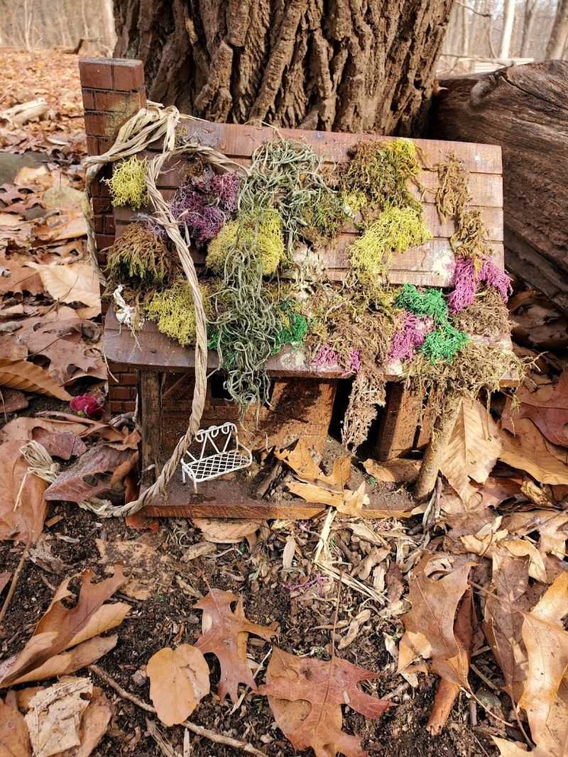This New Jersey Narnia trail turns a simple family hike into a magical ...