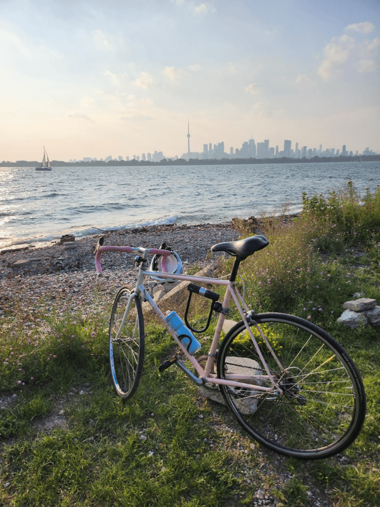 I moved away from Toronto and didn't expect to miss these 9 things so much