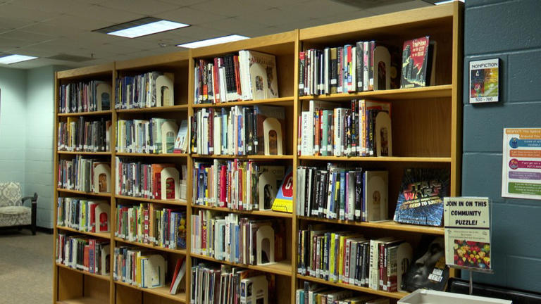 Unit 5 district to boost media literacy with new grant funding