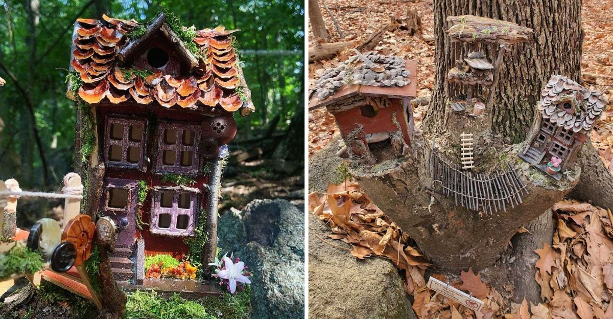 This New Jersey Narnia trail turns a simple family hike into a magical ...