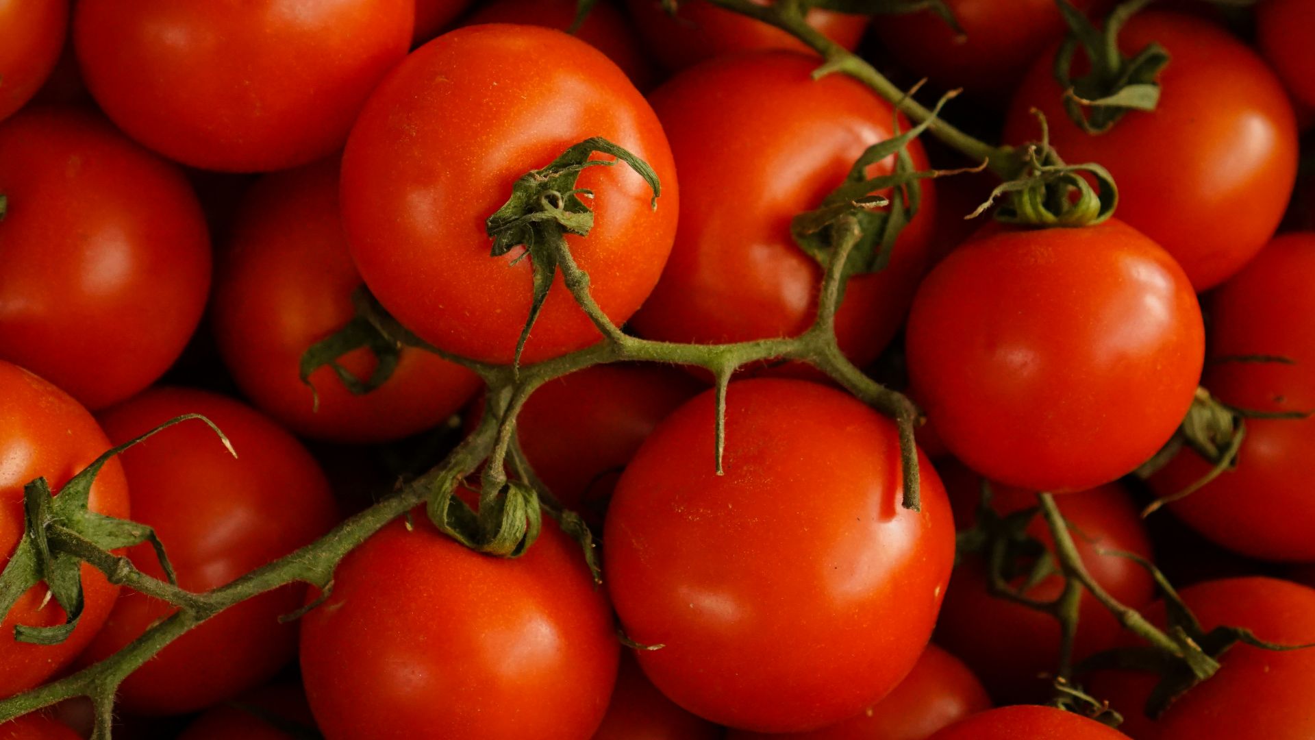 Tomatoes for heart: 20 natural foods that boost a specific organ