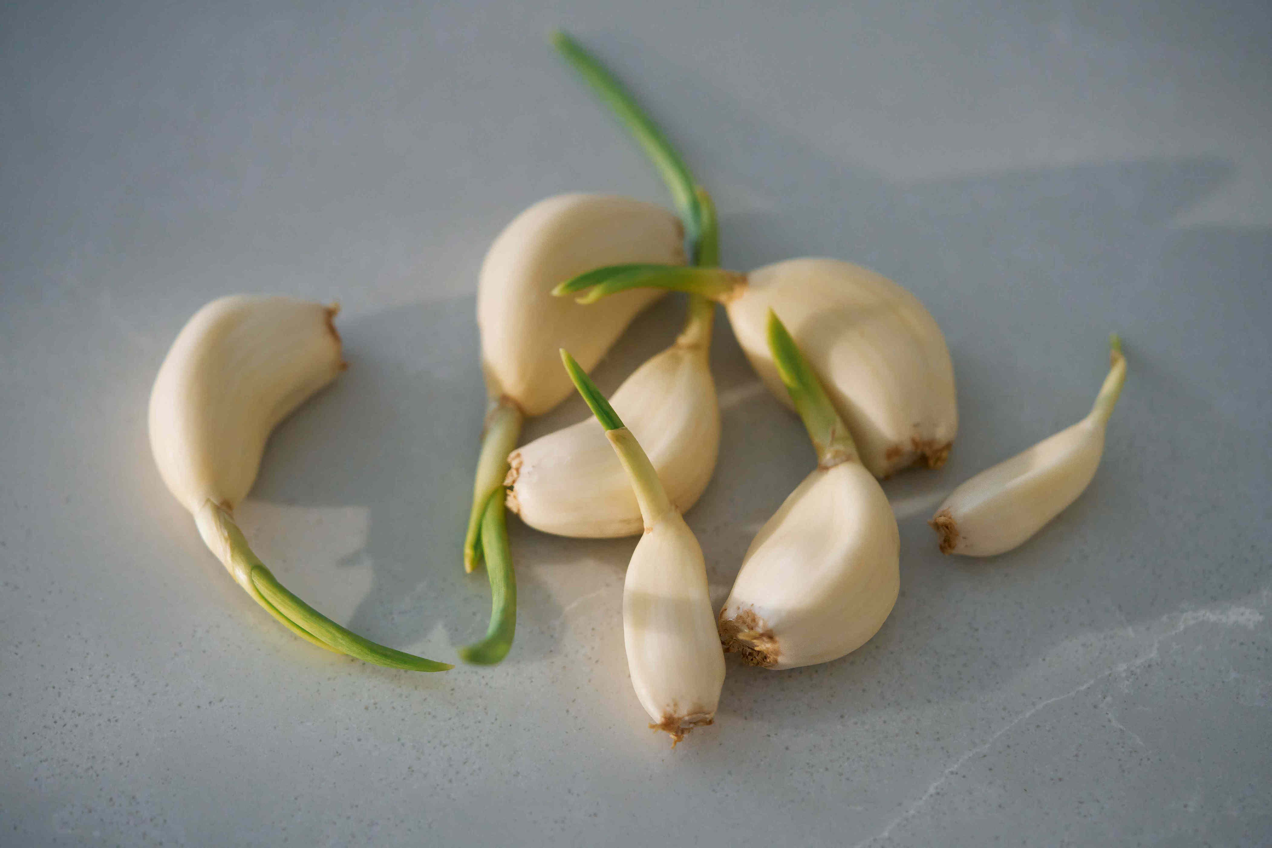 Stop storing garlic the wrong way—this helps it last longer and ...