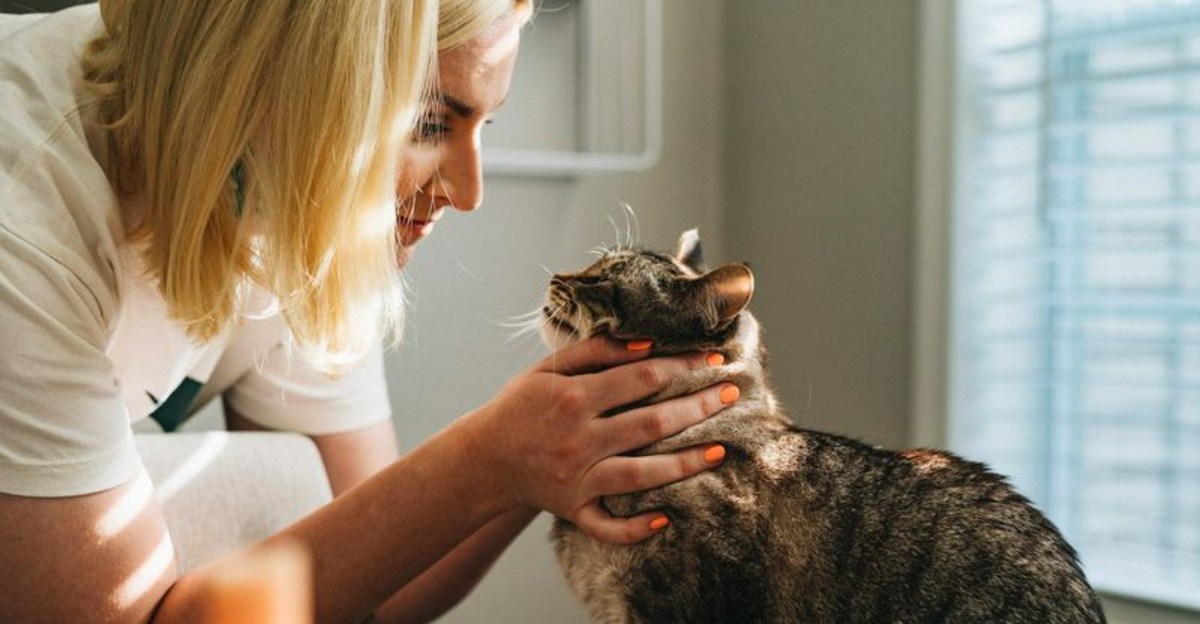 People who love animals more than humans often share these 11 childhood ...
