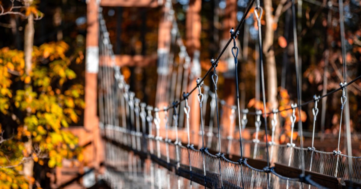 These 13 canopy walks in the US offer views you'll never forget