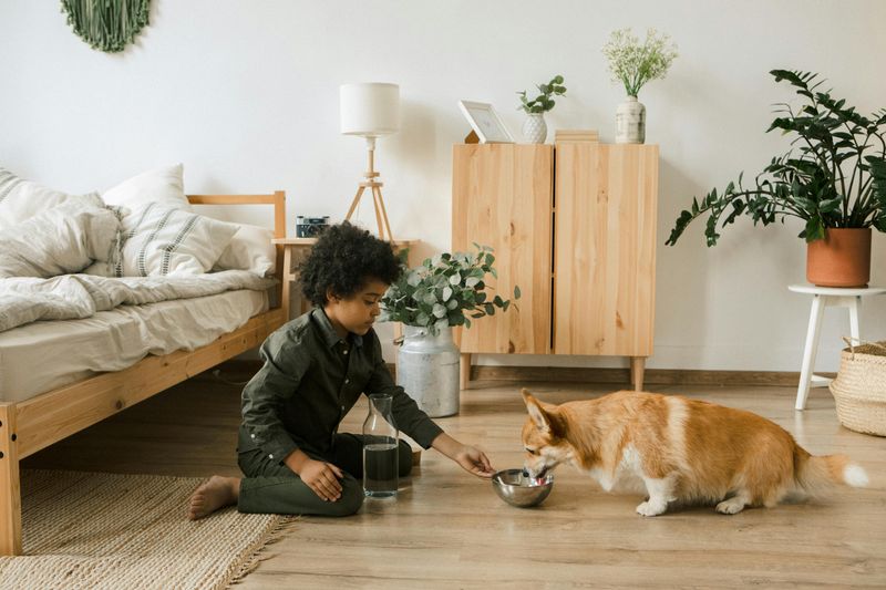 People who love animals more than humans often share these 11 childhood ...