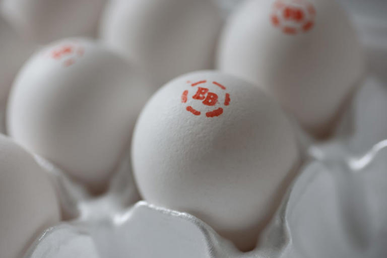 Cal-Maine stock tumbles on report of DOJ antitrust lawsuit over egg prices