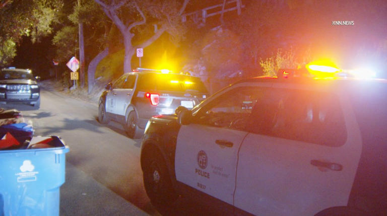 Actor Dylan Sprouse tackles home invader at his Hollywood Hills home