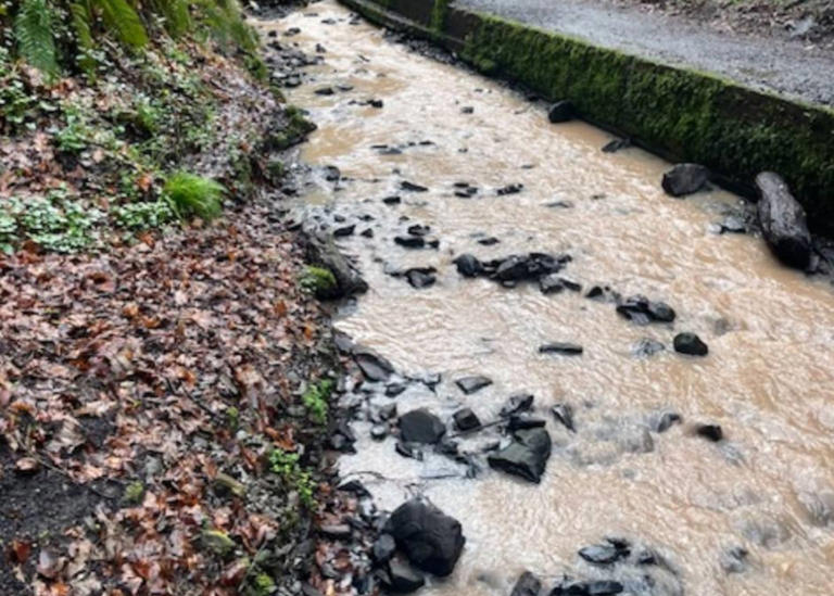 Six confirmed pollution incidents at Cregagh Glen is ‘pattern of failure’