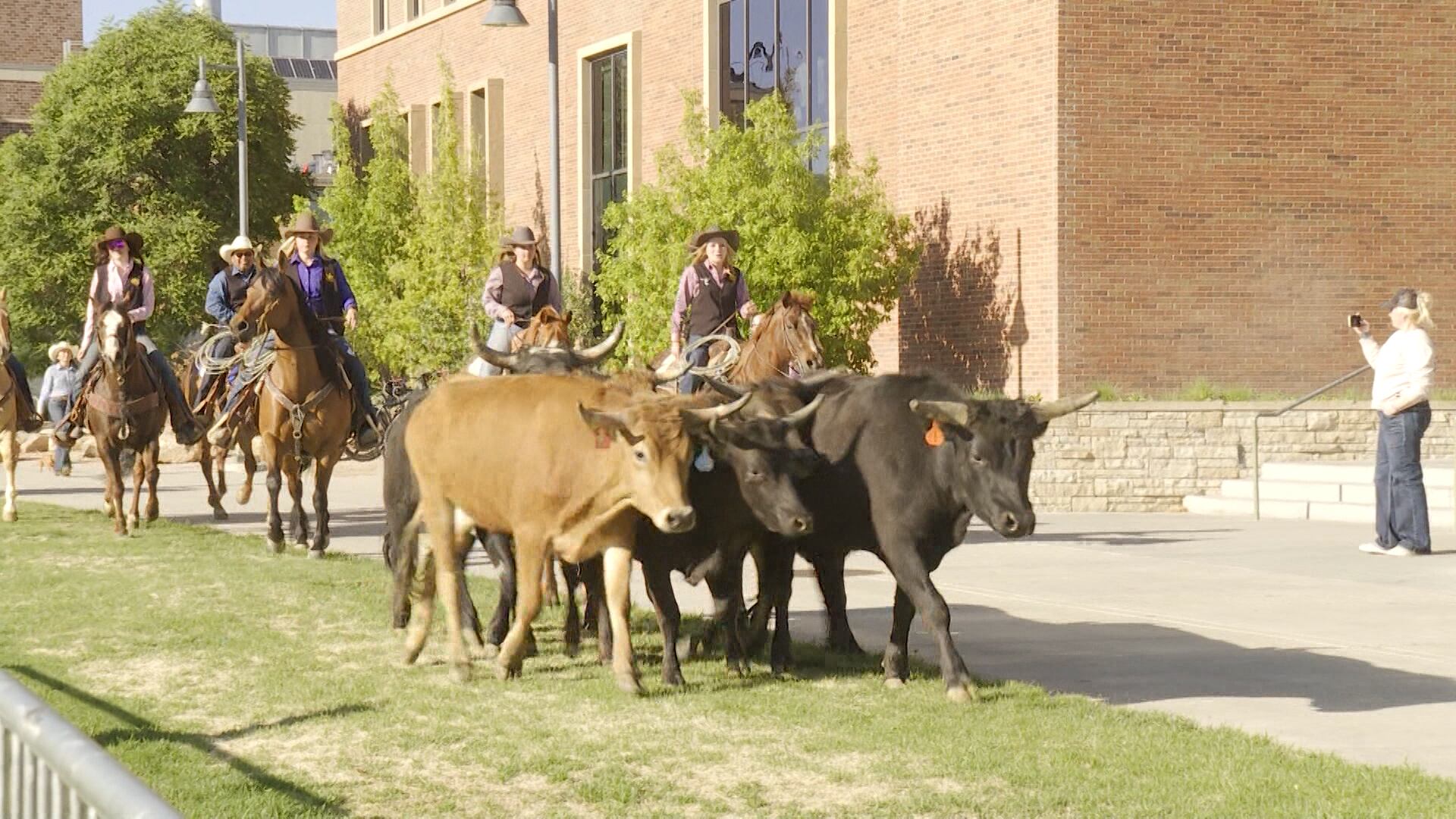 Giddy up: CMU rides momentum into the Maverick Stampede Rodeo