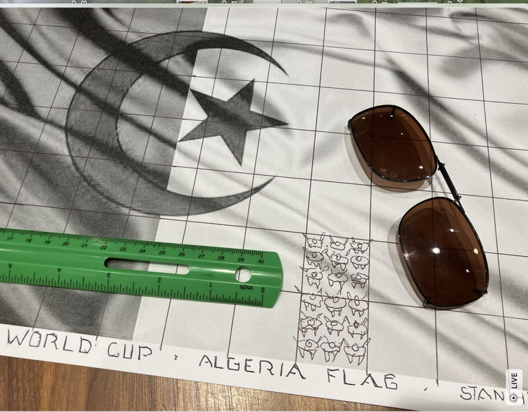 Stan Herd crop art of giant Algerian flag will welcome World Cup team ...