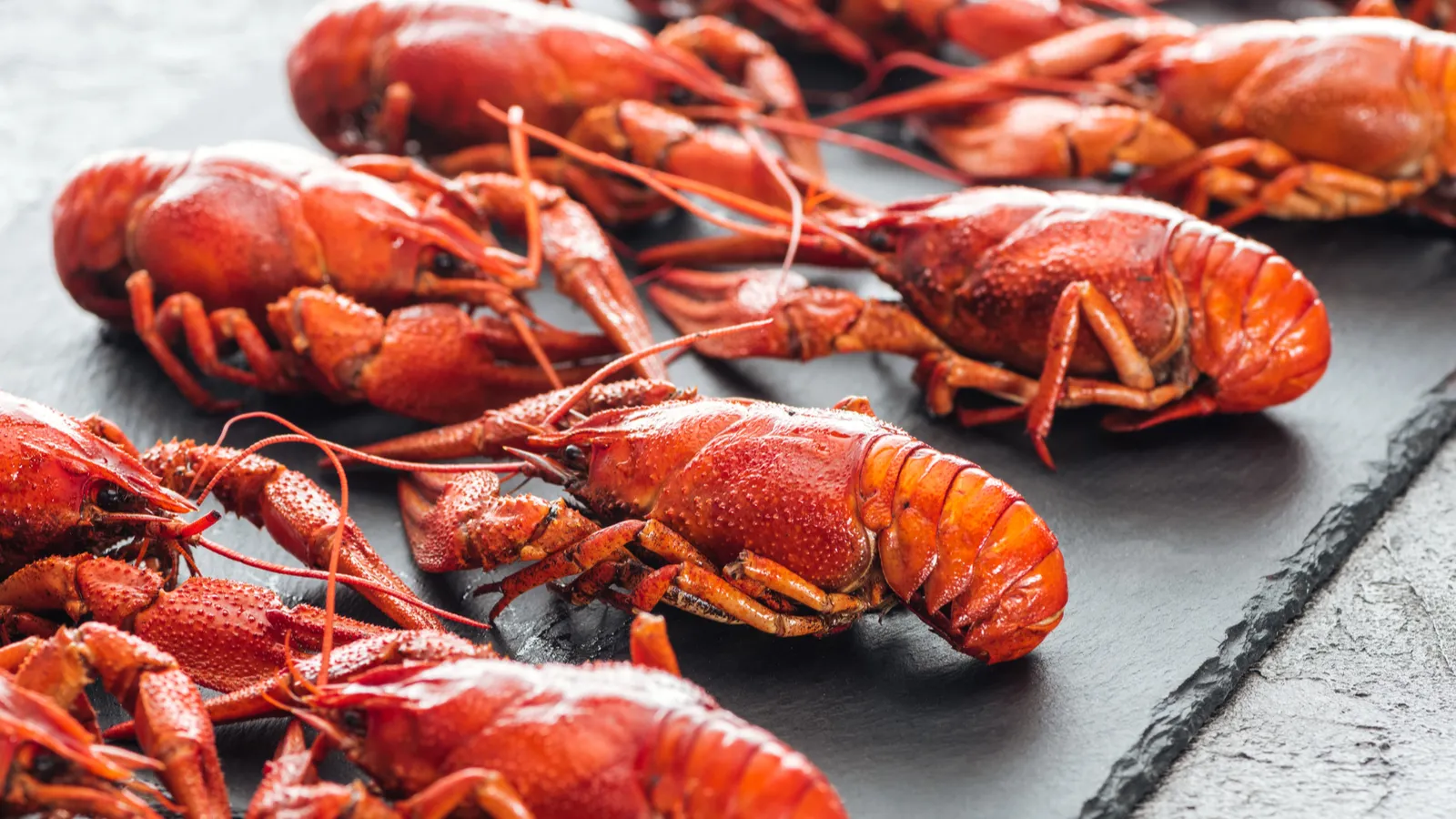 Panera Bread taps into seafood season with the return of lobster roll ...