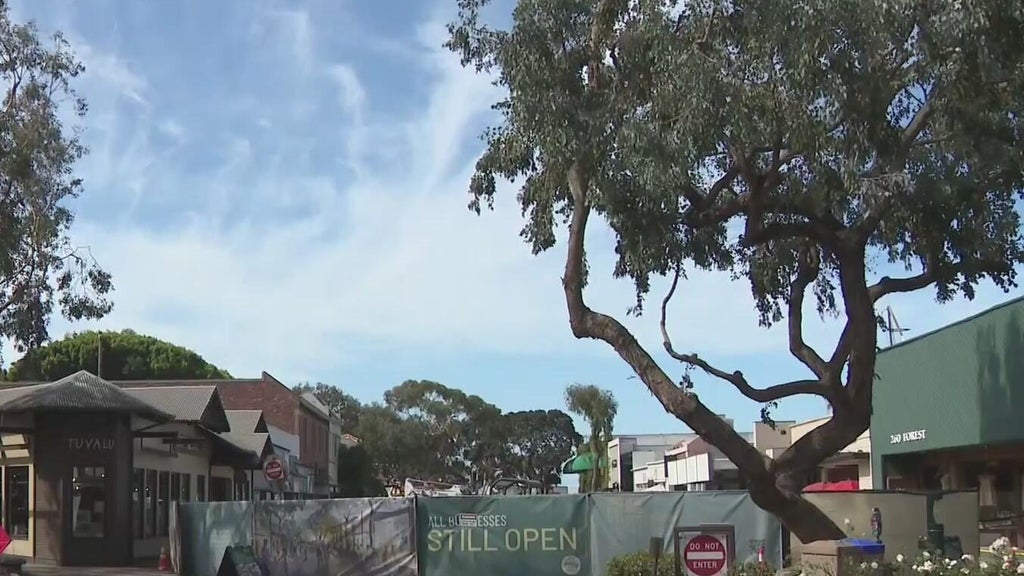 Laguna Beach eucalyptus trees cut down unexpectedly, city plans replacement