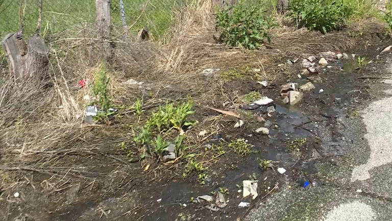 Kansas City searches for solutions to trash problem ahead of World Cup