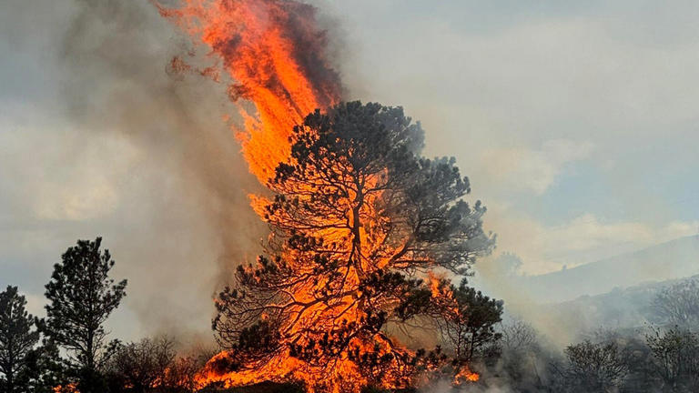 Firefighters contain Ponds Fire in Fort Collins; evacuations lifted for ...
