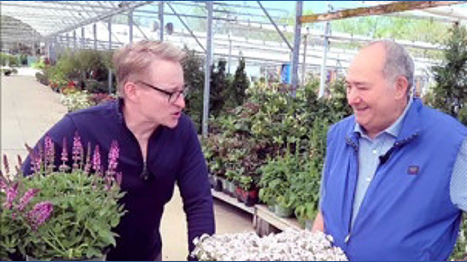 Get growing with Mark and Angelo: Spring-blooming perennials