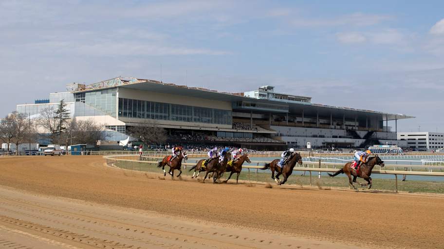 Friday horse racing picks: Experts reveal best bets, value plays & upsets