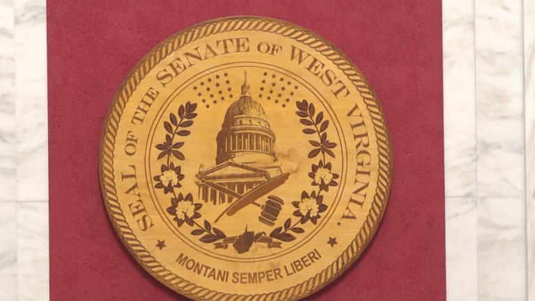 Azinger, Barnhart win Republican primaries in West Virginia’s Third ...