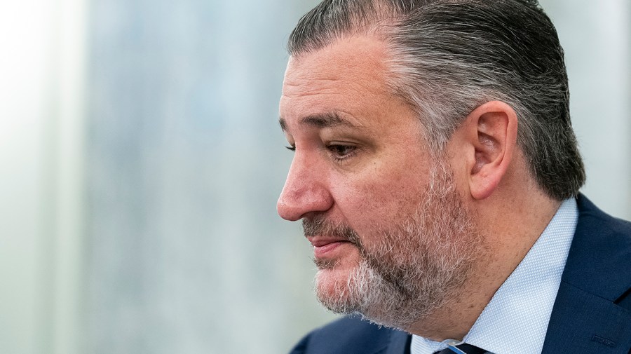 Cruz calls Ocasio-Cortez 'parasite sucking on the taxpayer' over ...