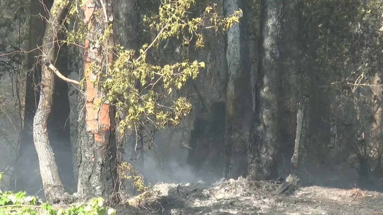 Levy County residents offer help to those impacted by Cow Creek Fire