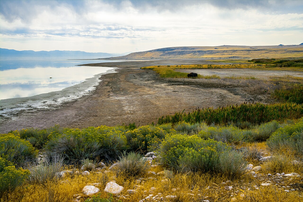 Drive 7 miles across the Great Salt Lake and the whole world changes on ...
