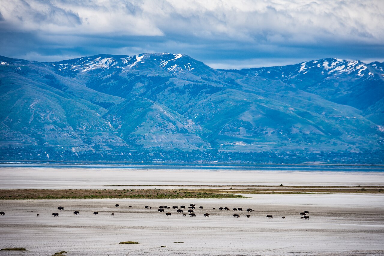 Drive 7 miles across the Great Salt Lake and the whole world changes on ...